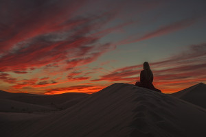 Distractions…and Oh Look at That Shiny Thing – Promoting Passion