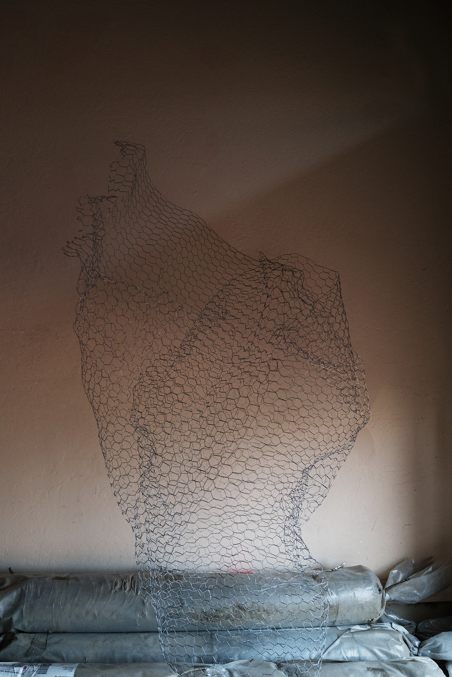 How to Make a Wire Sculpture (part 1) » Promoting Passion