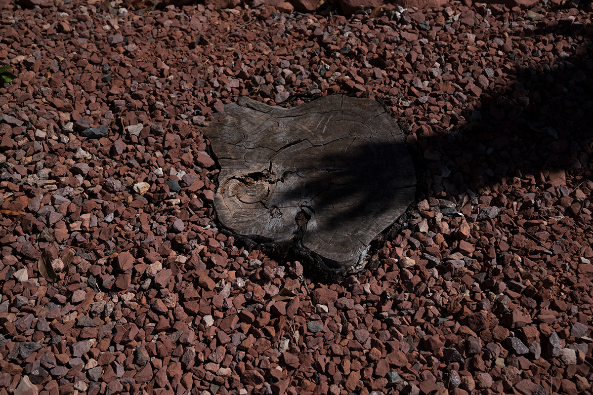 How to Create Your Own Textures – Promoting Passion